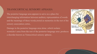 HUMAN COMMUNICATION _ | PPTX