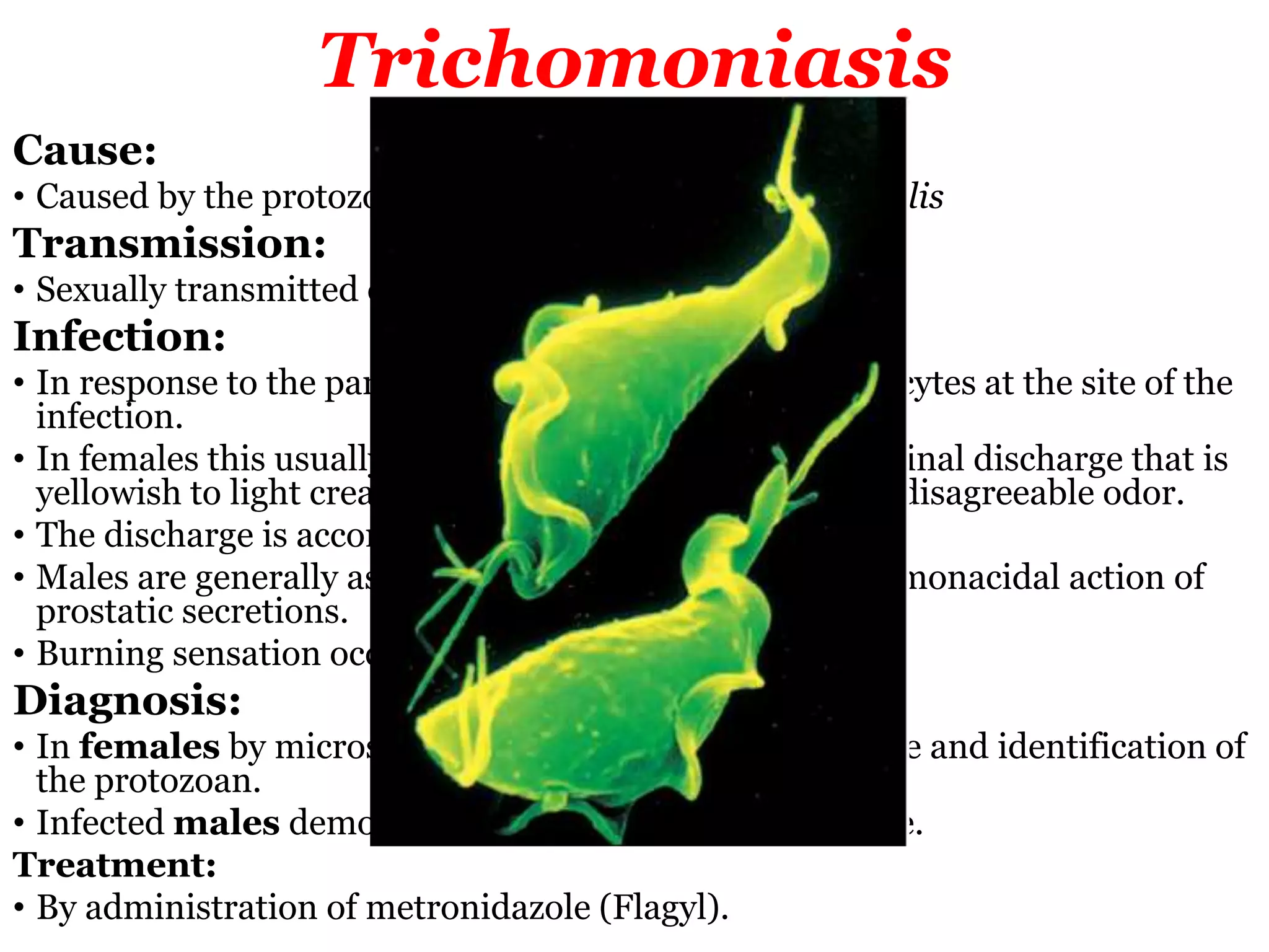 Human contact diseases | PPTX