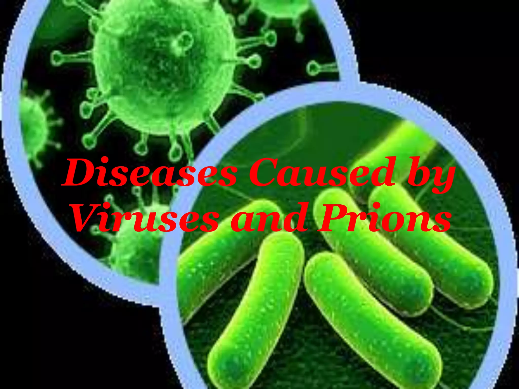 Human contact diseases | PPTX