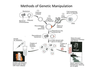 Human control | PPTX