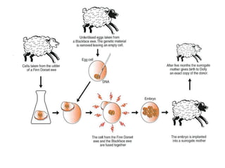 Human control | PPTX
