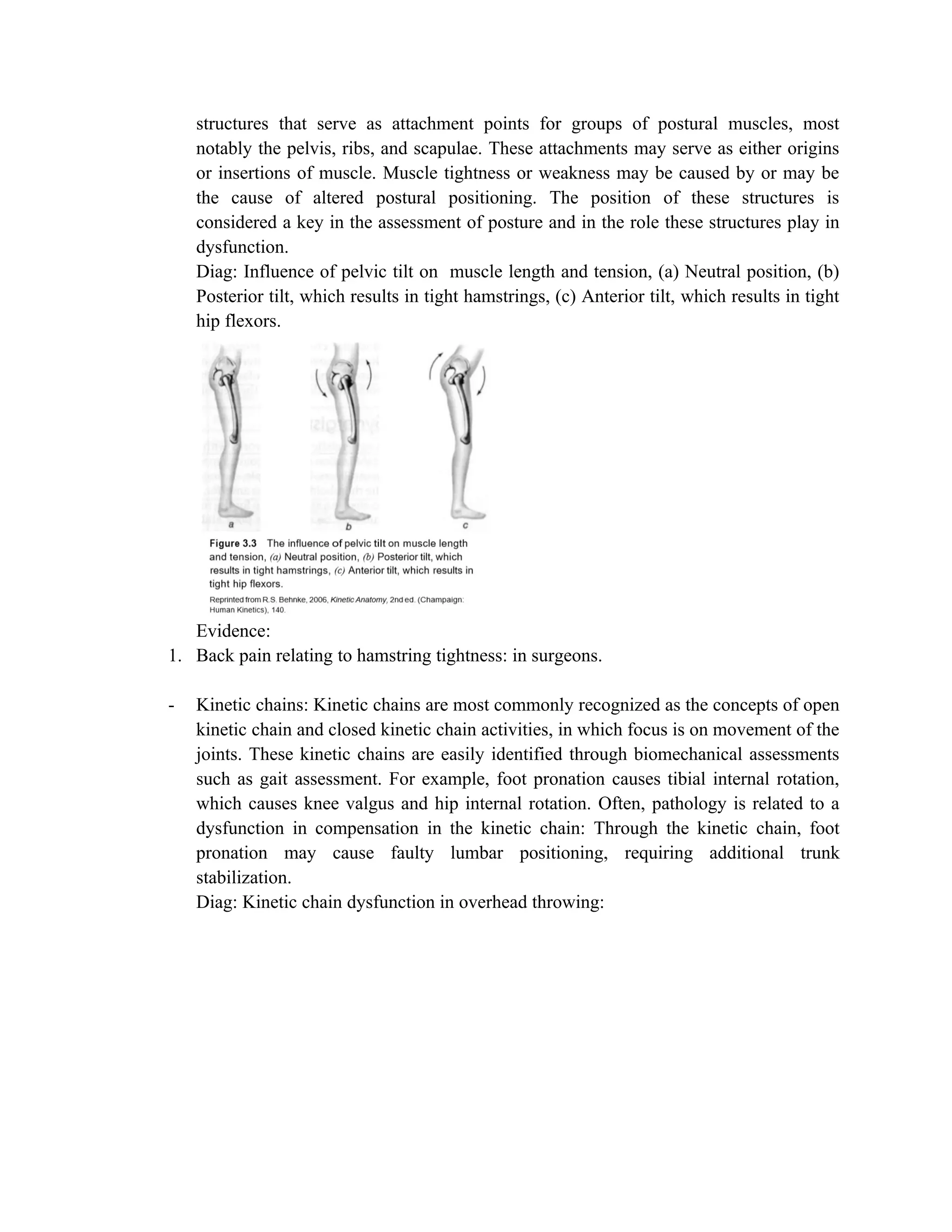 Human control of_locomotion | PDF