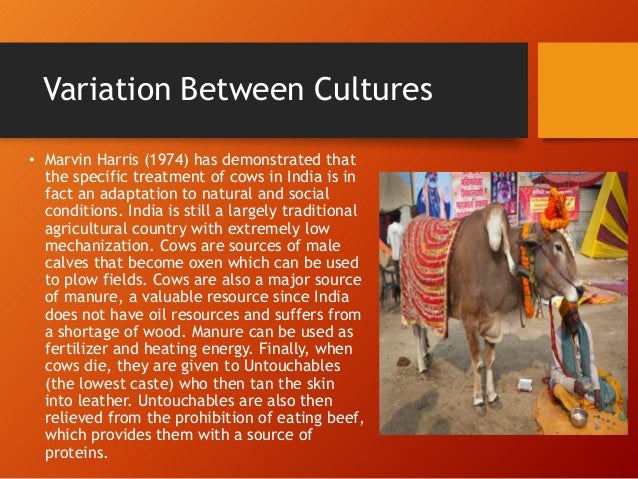 Human cultural variation
