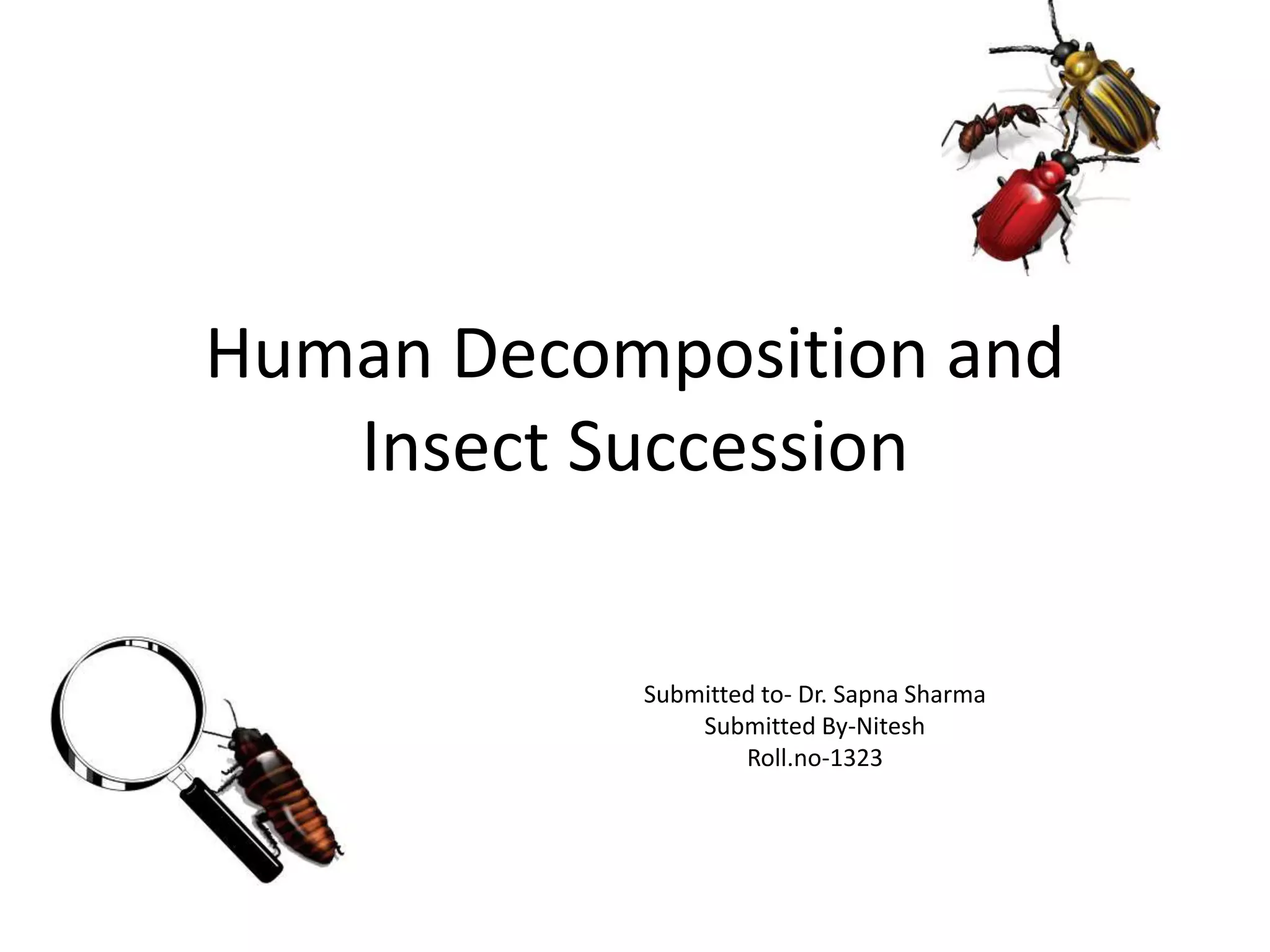 Human decomposition and insect succession | PPTX