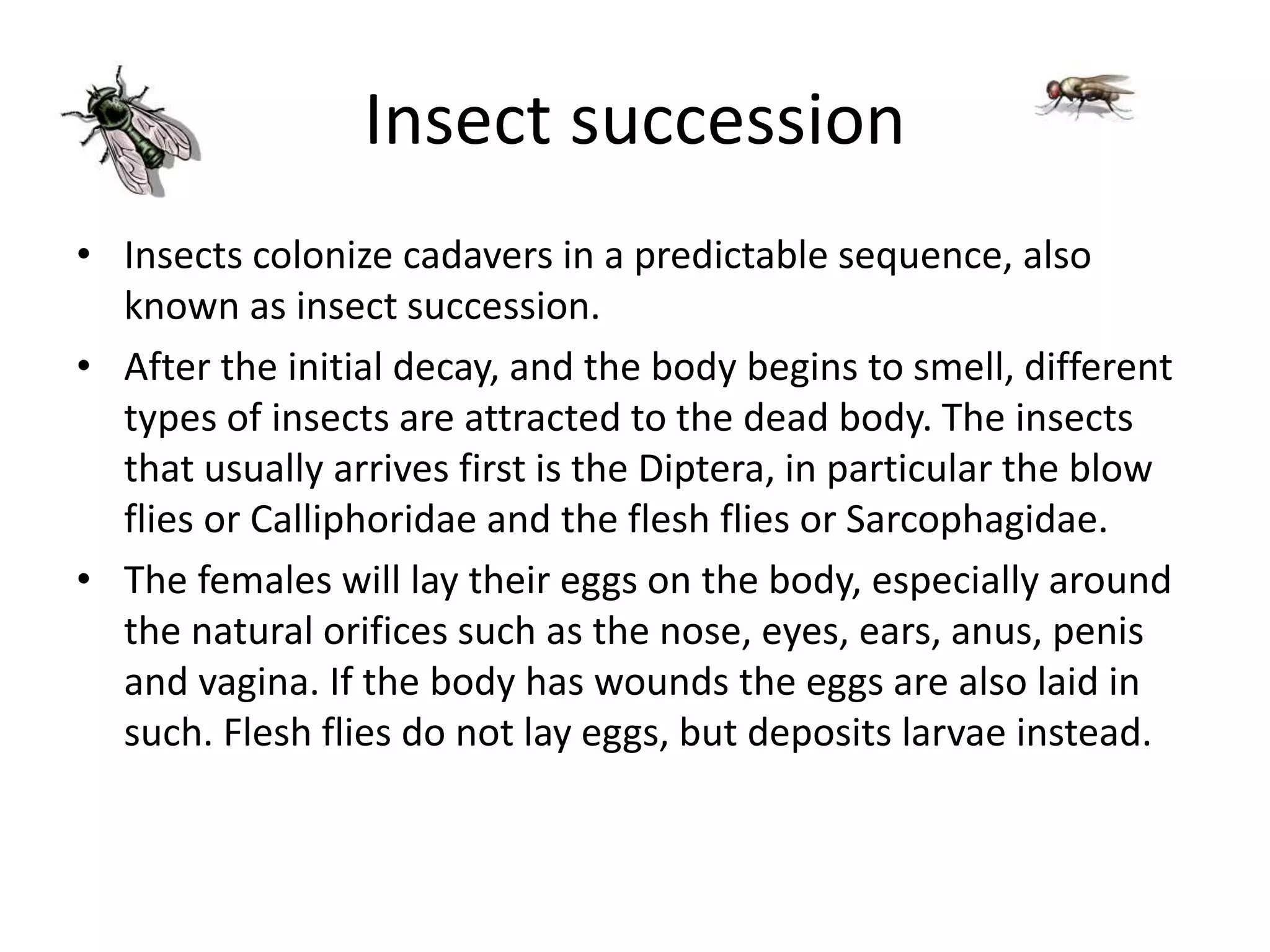 Human decomposition and insect succession | PPTX