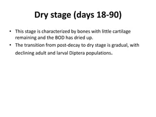 Human decomposition and insect succession | PPTX
