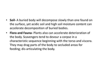 Human decomposition and insect succession | PPTX
