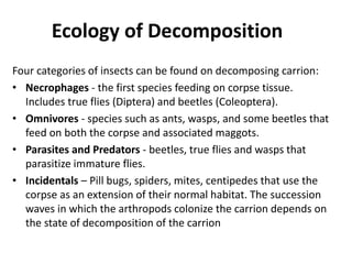 Human decomposition and insect succession | PPTX