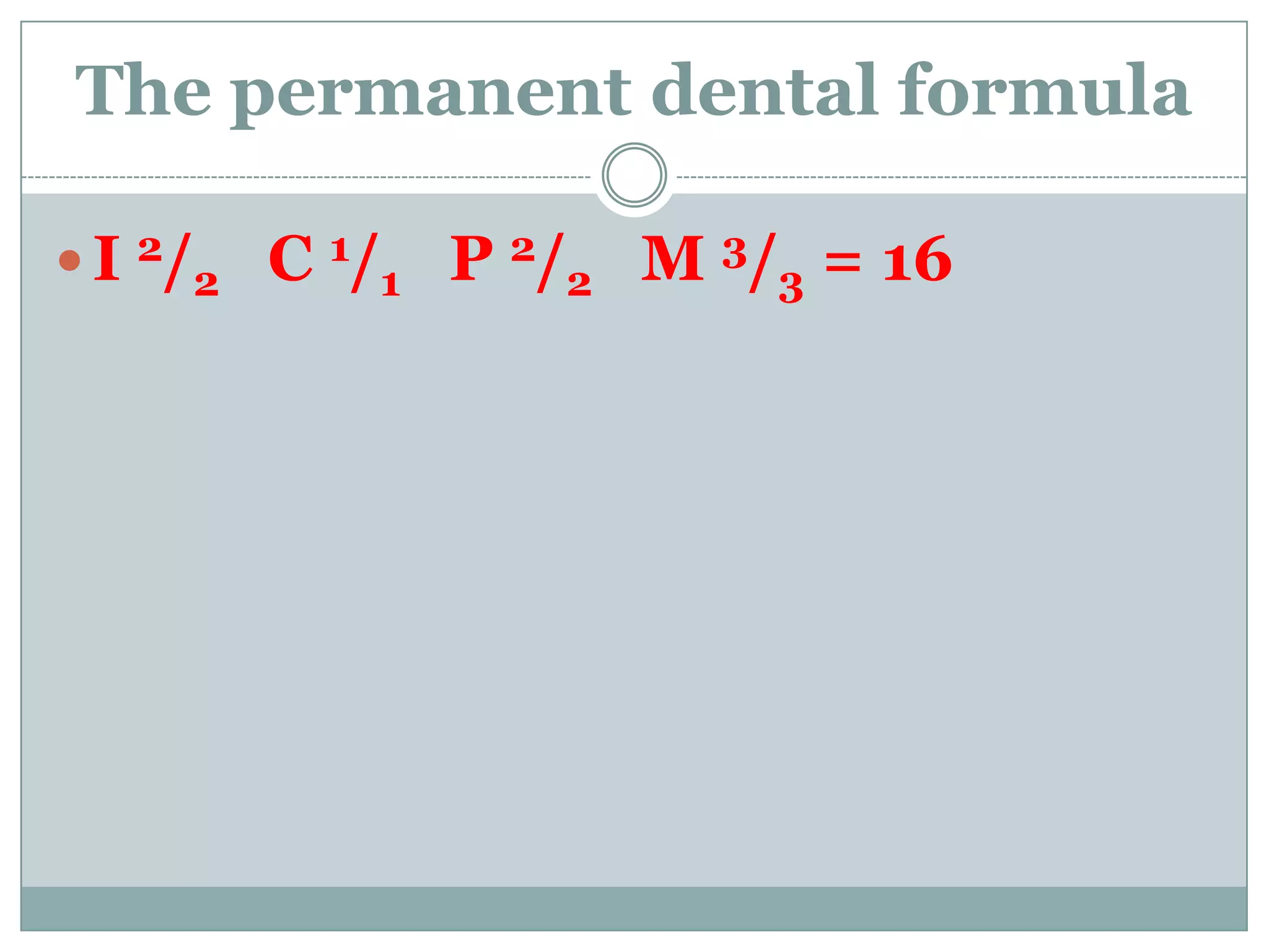 Human Dentition | PPTX