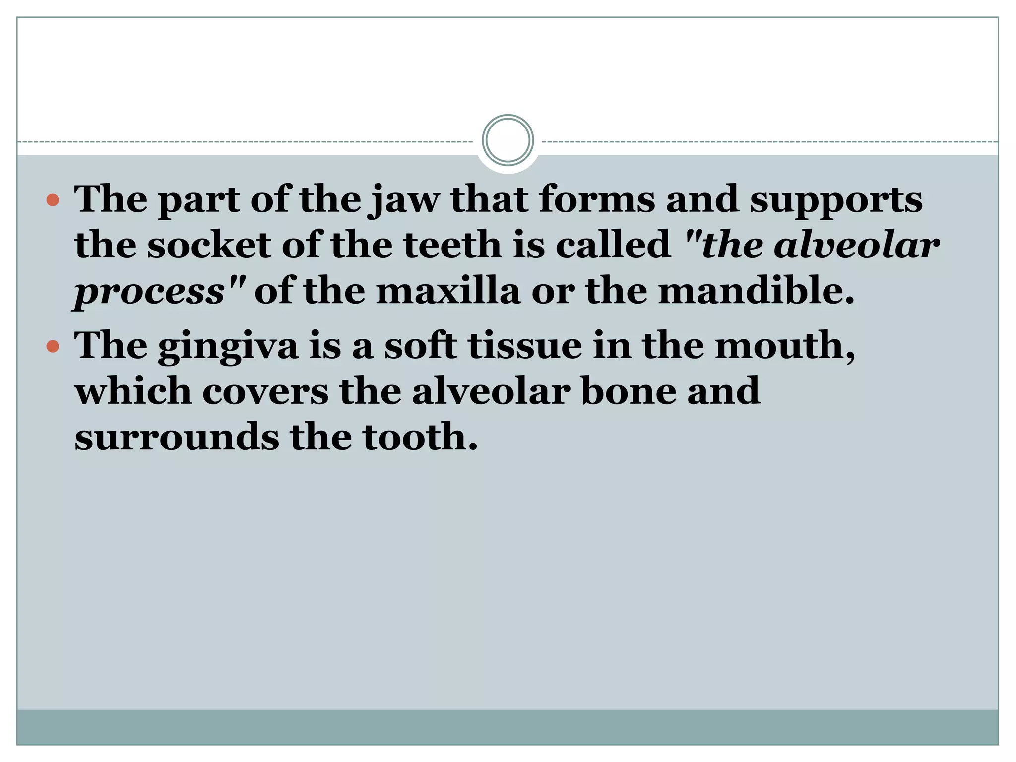 Human dentition | PPTX