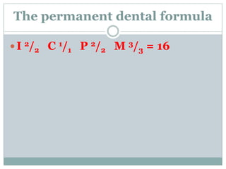 Human dentition | PPTX