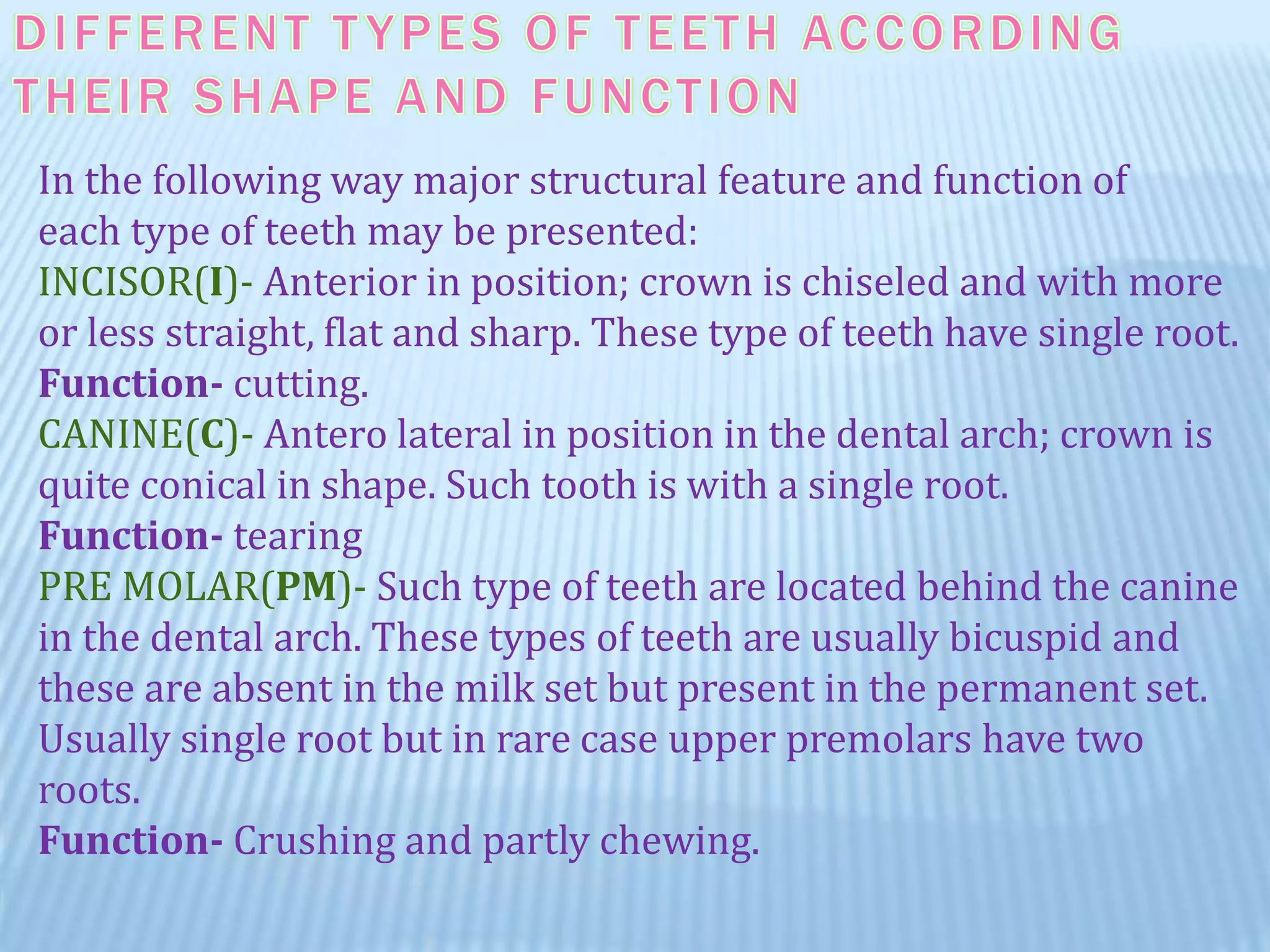 Human dentition | PPTX
