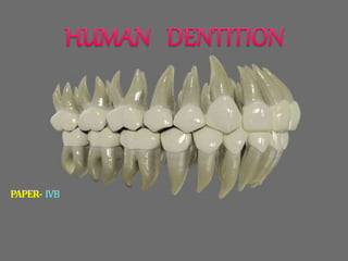 Human dentition | PPTX