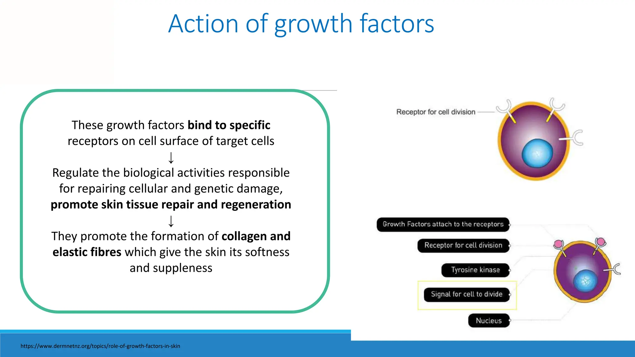 Human Derived Growth Factor’_CME slide.pptx