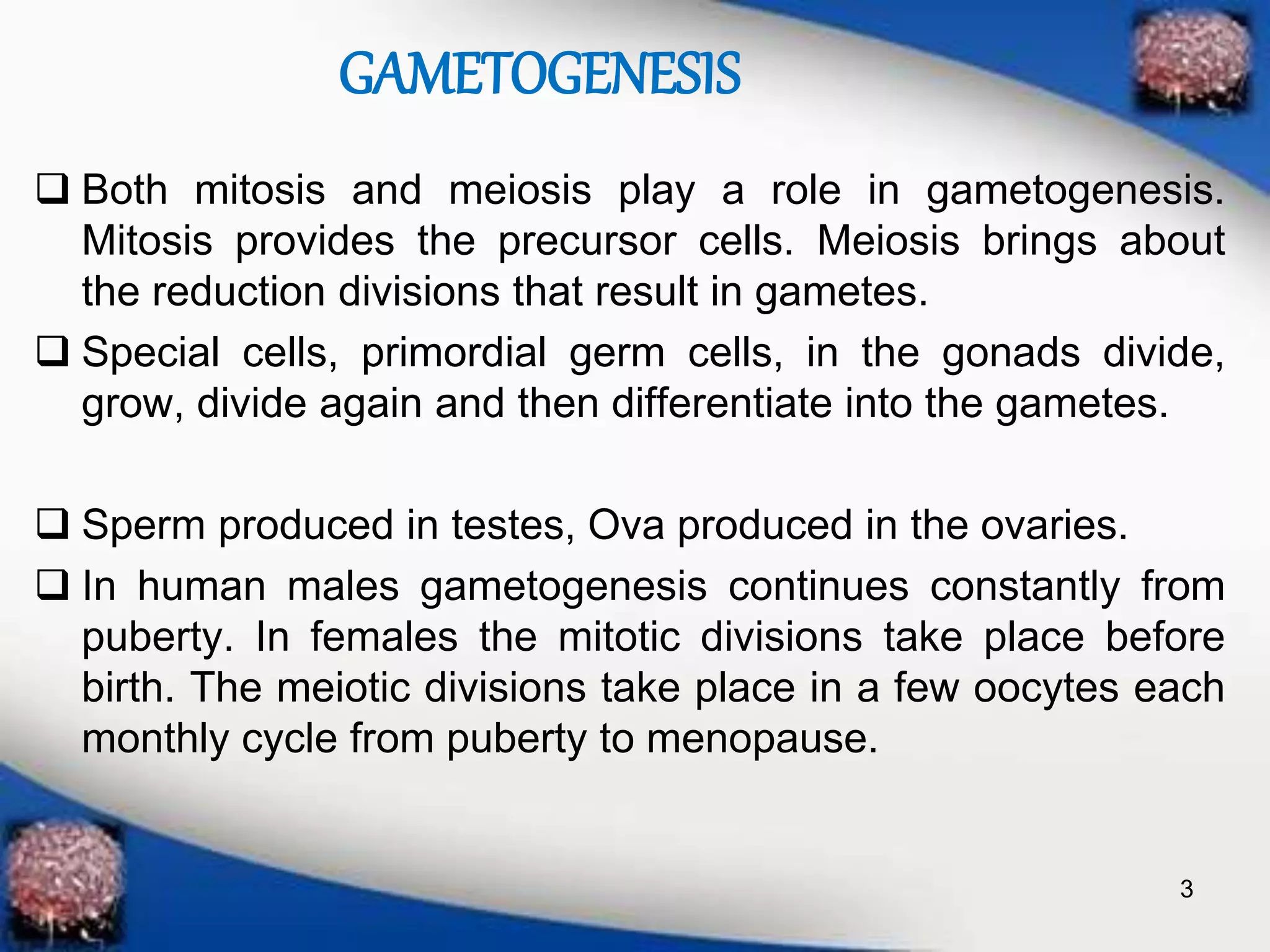 Human developmental Biology | PPTX