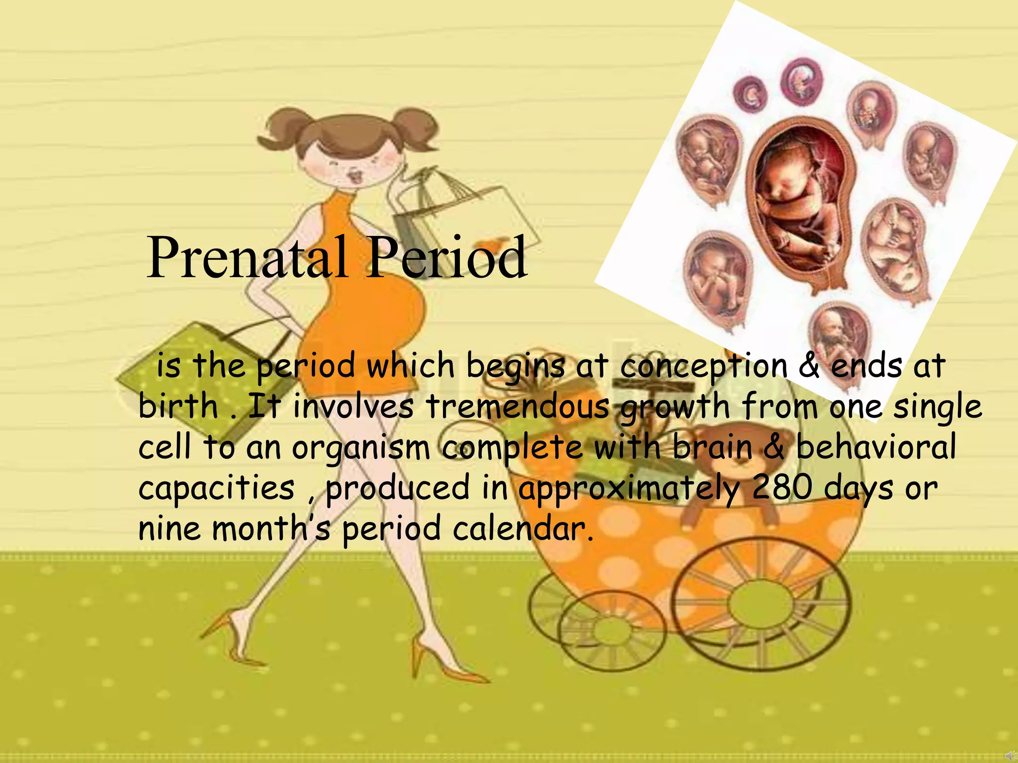 Human Development Psychology | PPTX