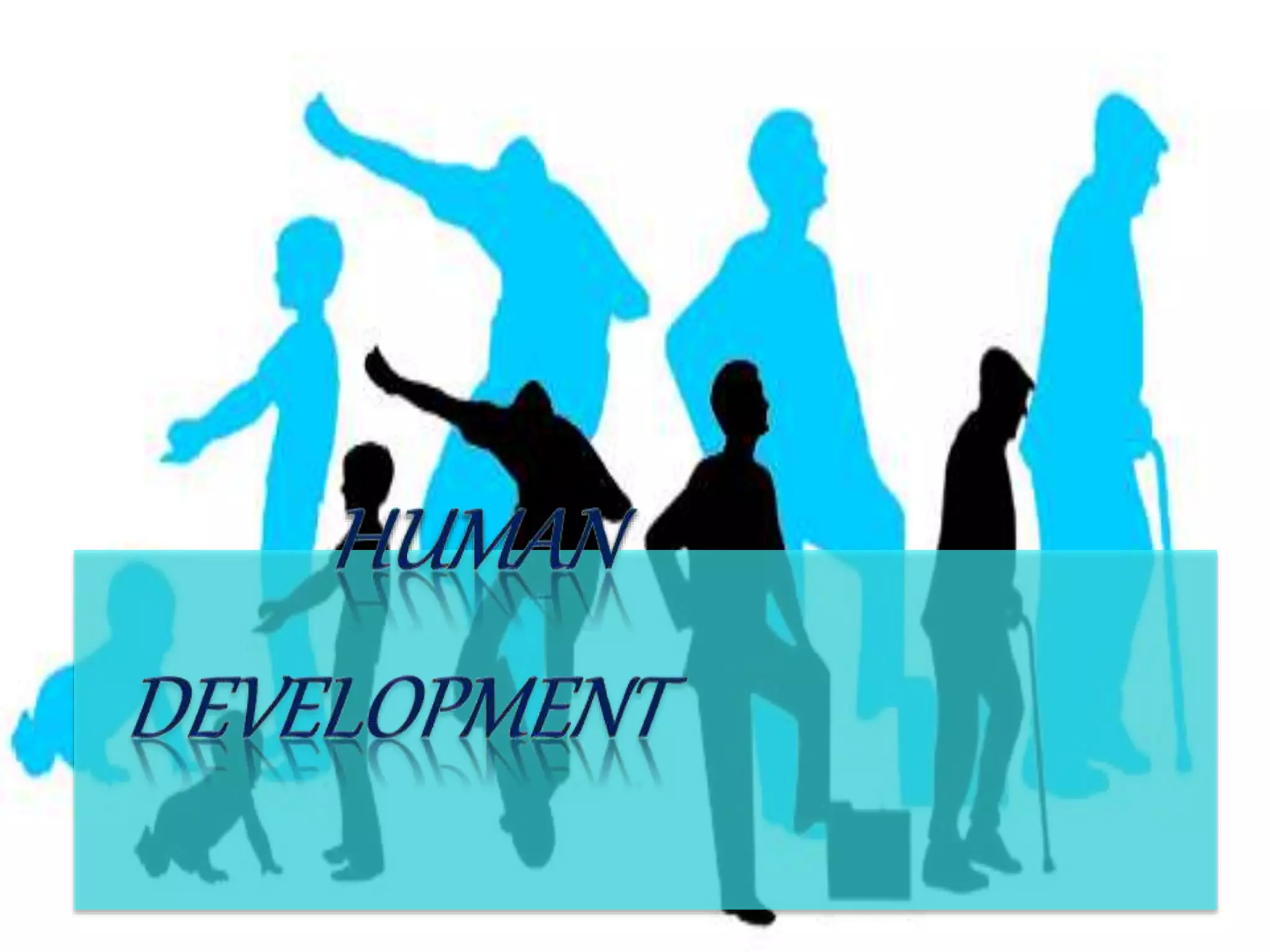Human Development Psychology | PPTX