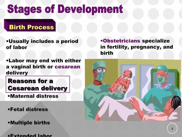 Human development | PPT