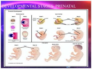 INTRODUCTION TO HUMAN DEVELOPMENT LECTURE.ppt