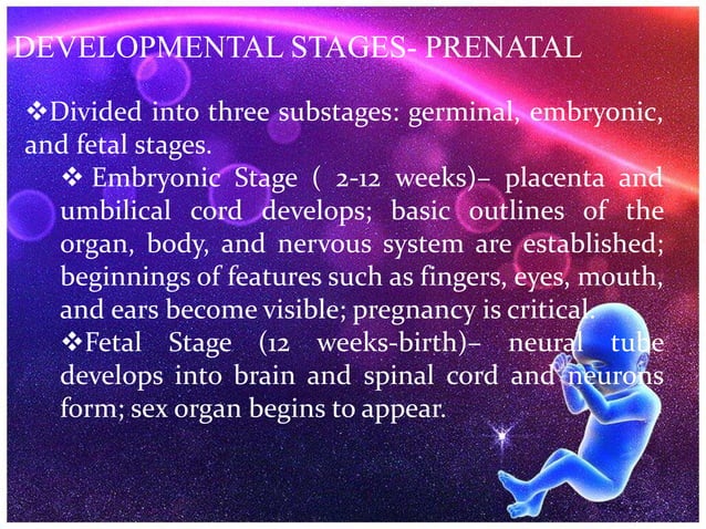INTRODUCTION TO HUMAN DEVELOPMENT LECTURE.ppt | Pregnancy ...