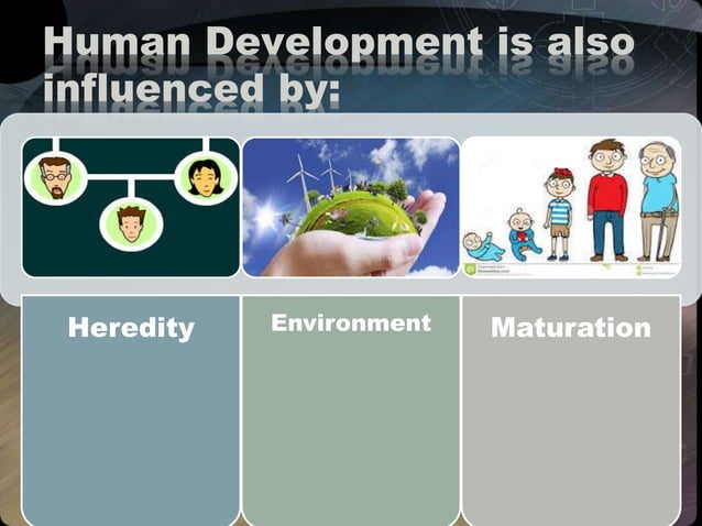 Human development and personal development | PPTX | Genetics | Science