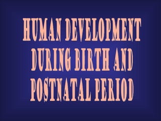 Human development during birth and postnatal period | PPT