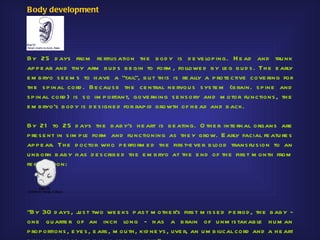 Human development during birth and postnatal period | PPT