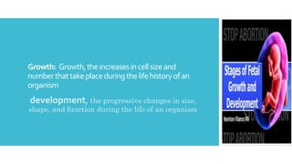 human development embryo and fetus.p.p.t.pptx