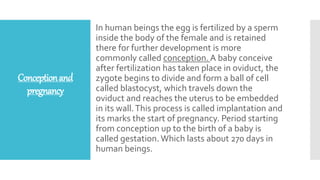 human development embryo and fetus.p.p.t.pptx