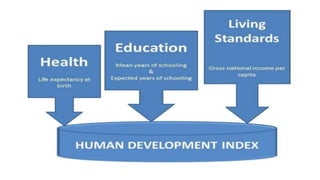 Human Development Index (HDI) and it’s Components - Pakistan at HDI ...