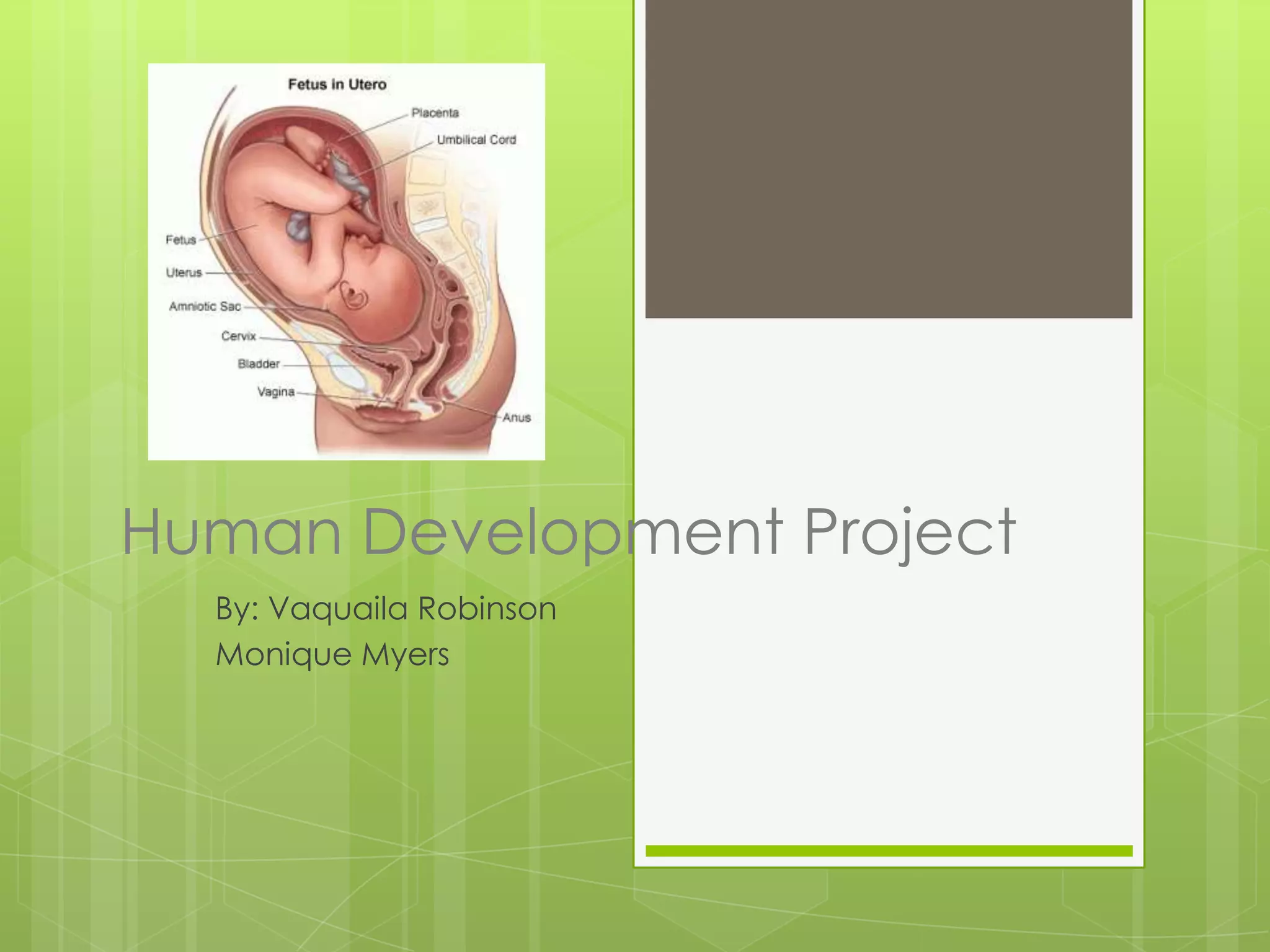 Human development project | PPT
