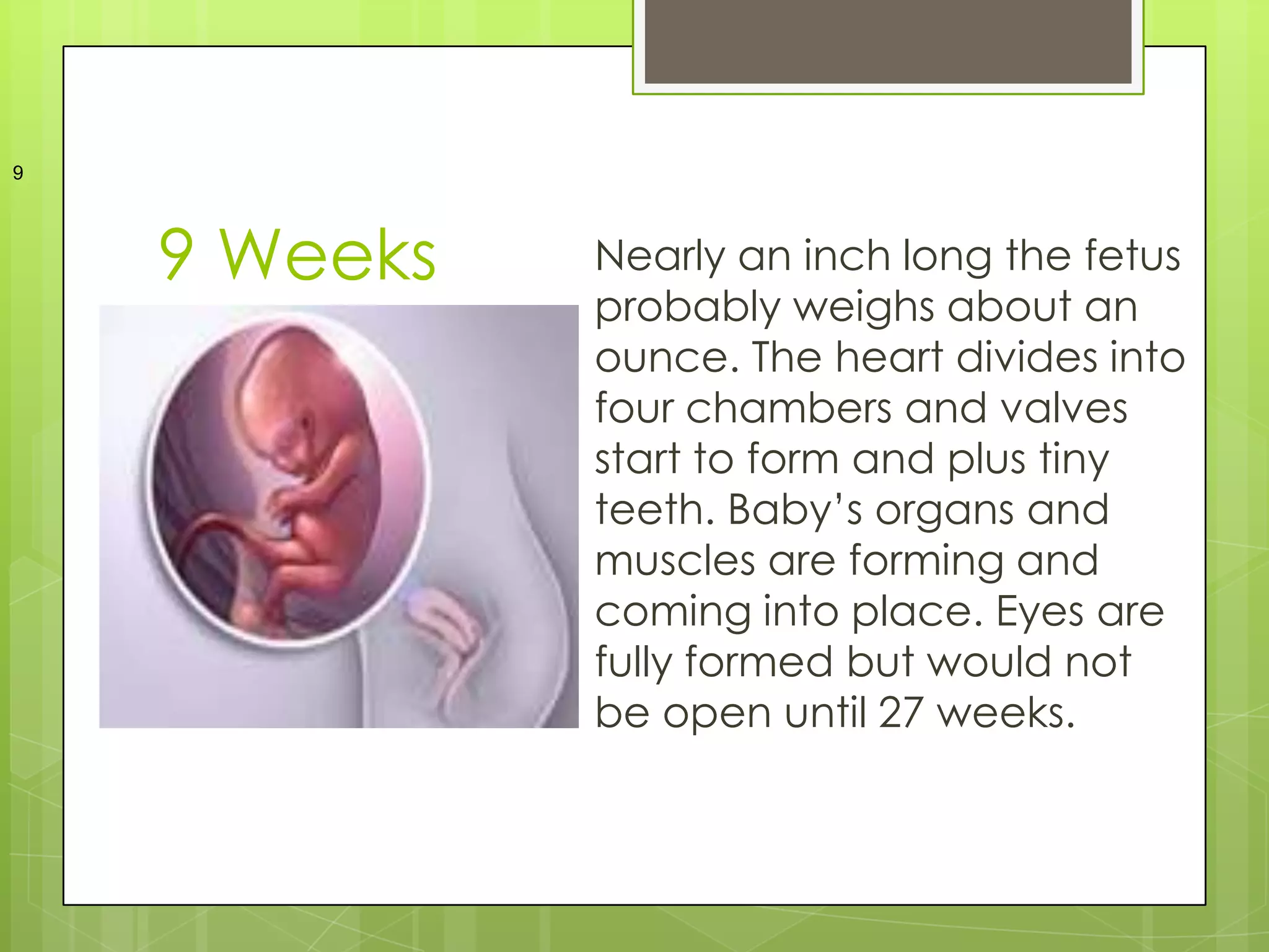 Human development project | PPT