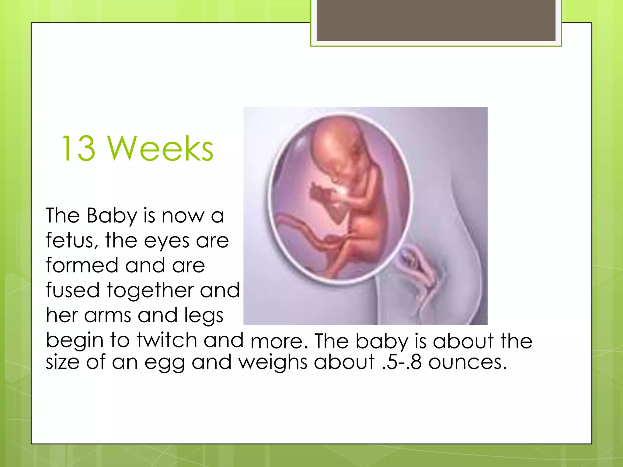 Human development project | PPT