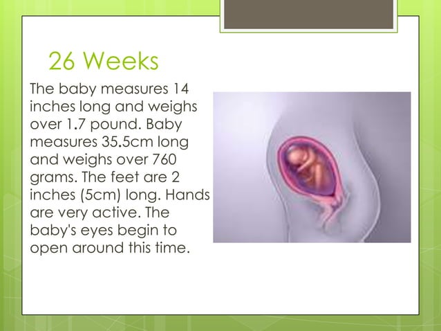 Human development project | PPT