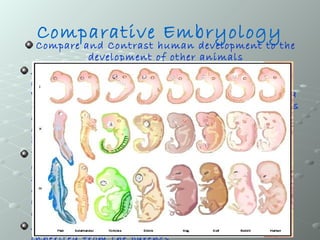 Human+development pvms | PPT