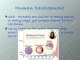 Human+development pvms | PPT