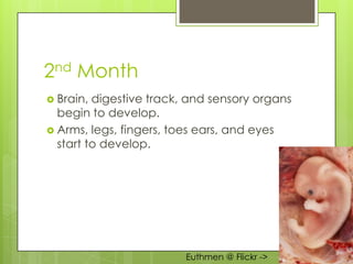 Human Development | PPTX