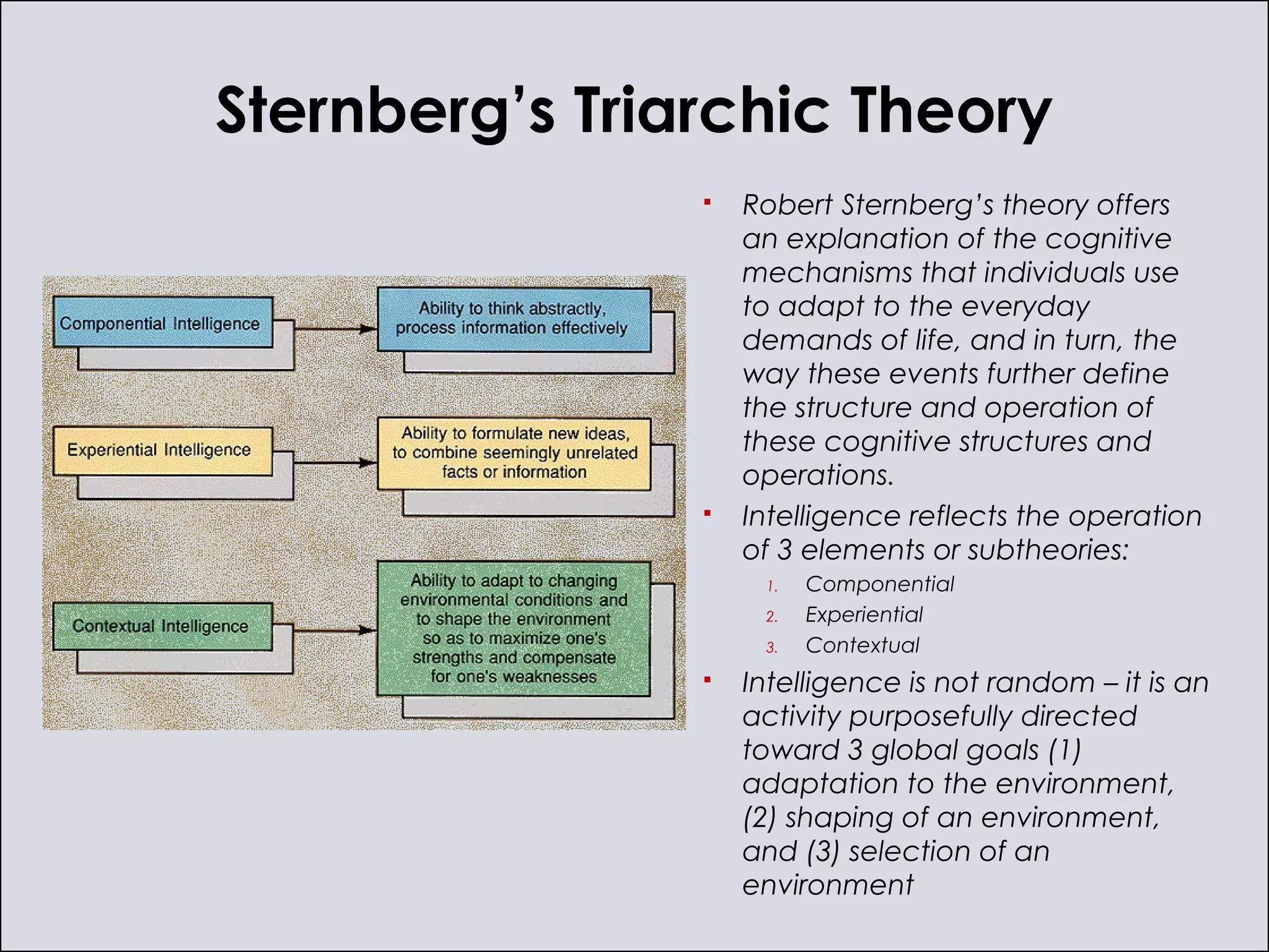 Human development the mechanistic overview (part ii) | PPT
