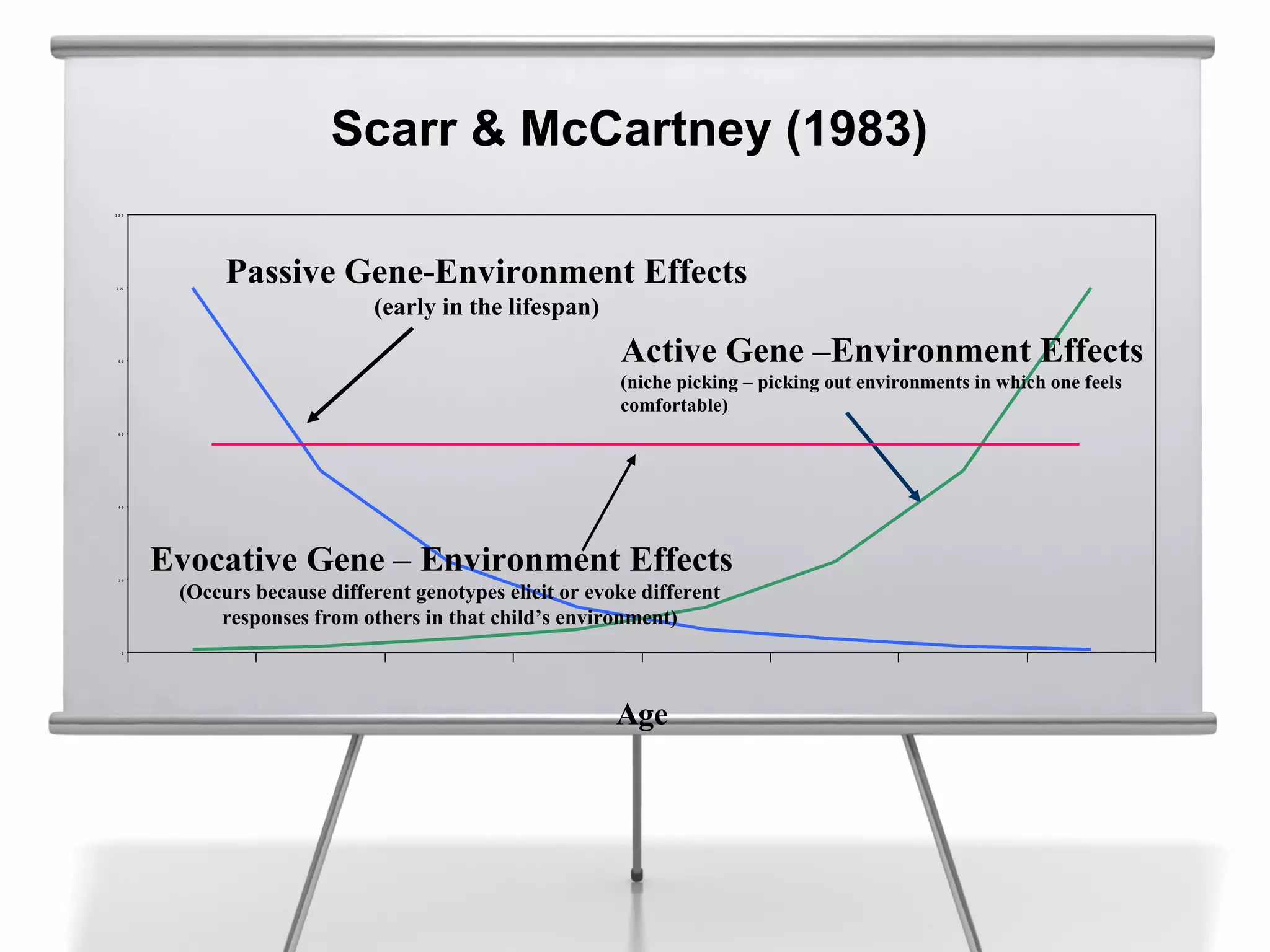 Human development the mechanistic overview (part ii) | PPT