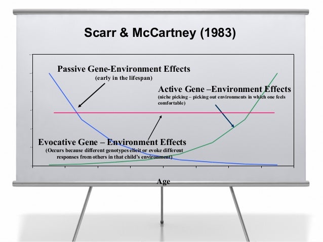 Human development the mechanistic overview (part ii)