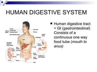 Human digestion _ch[1]._35 | PPT