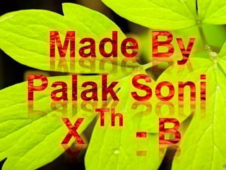 Human digestion palak soni x b biology project work s.a.i. f.a. i | PPTX