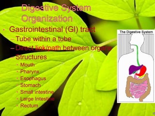 Human digestion palak soni x b biology project work s.a.i. f.a. i | PPTX