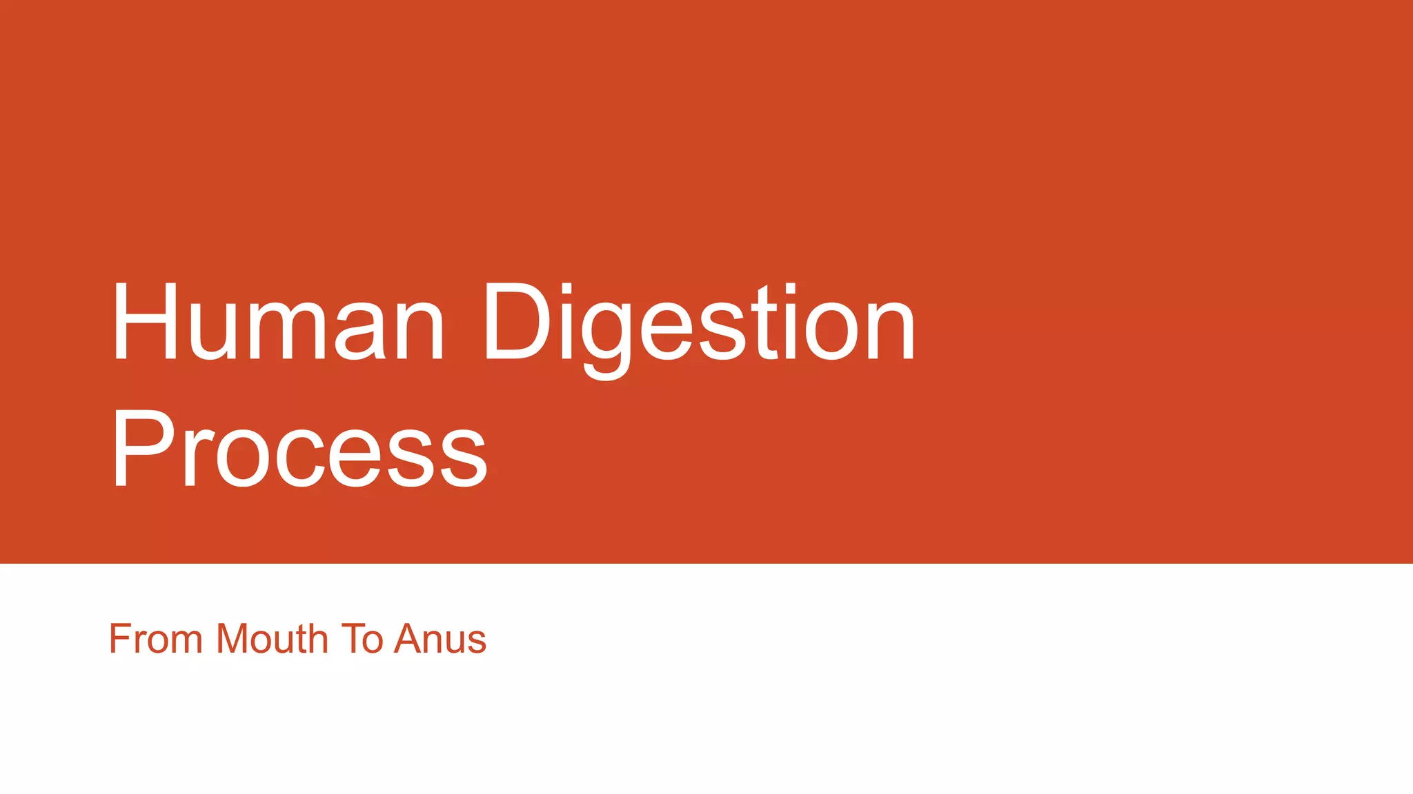 Human digestion process | PPTX