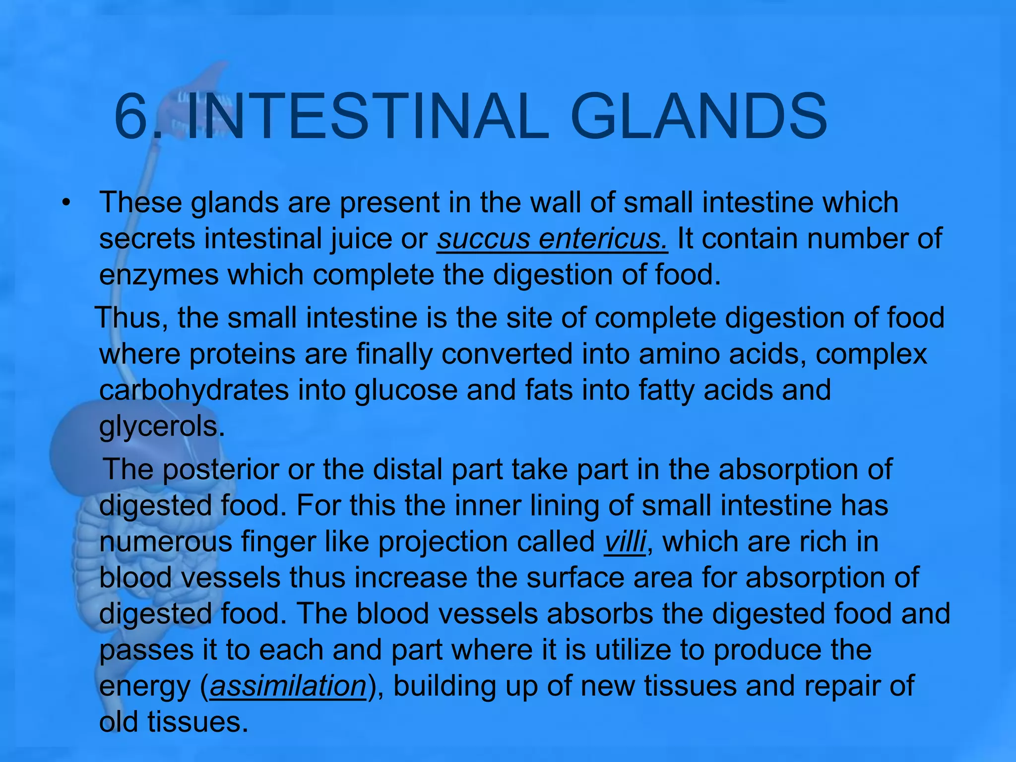 Human digestive system | PPTX