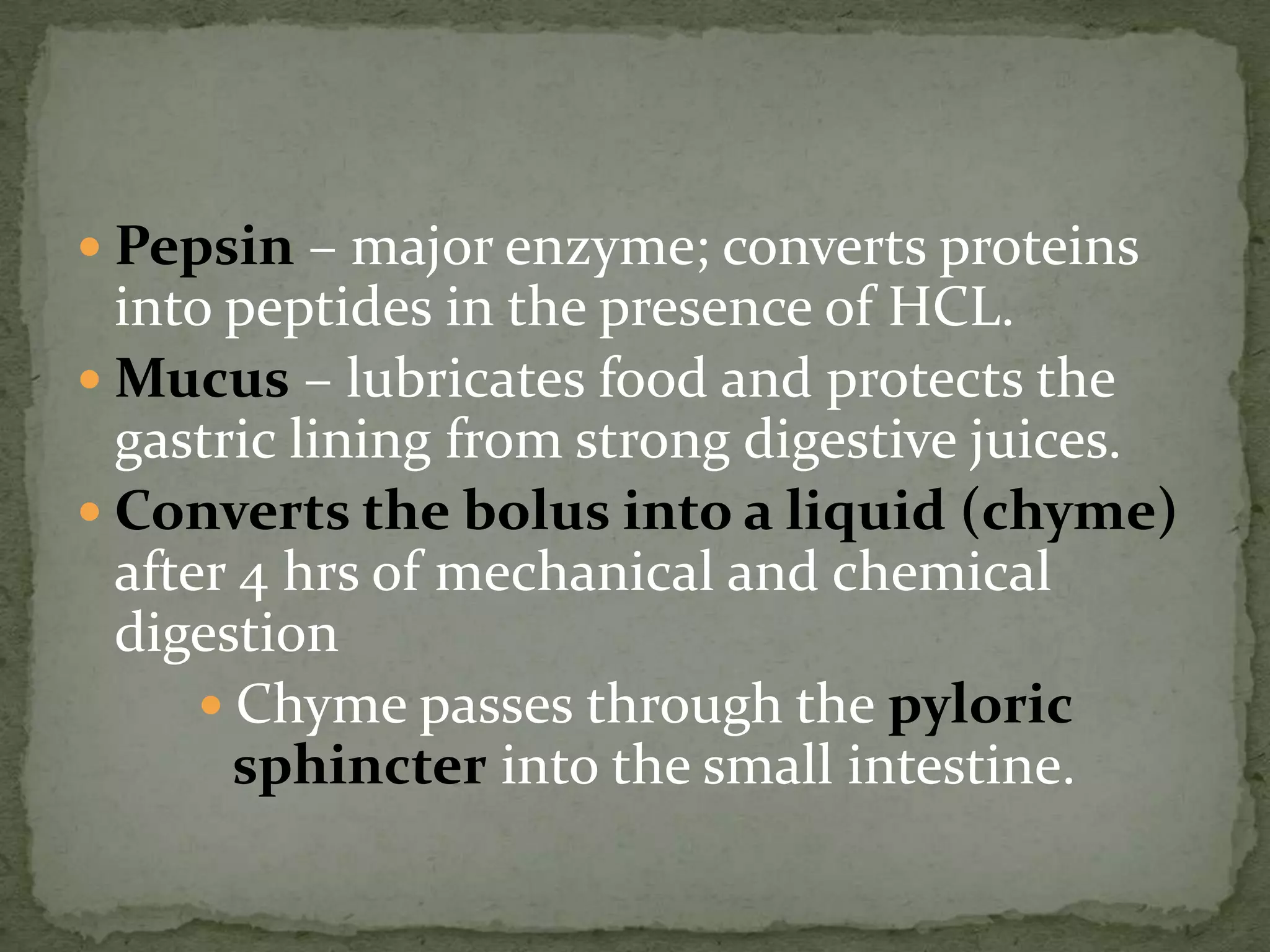 Human digestive system | PPTX