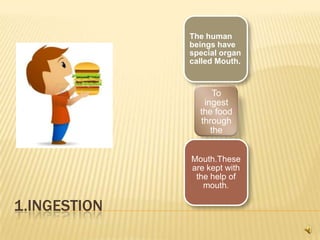 Human digestive system | PPTX