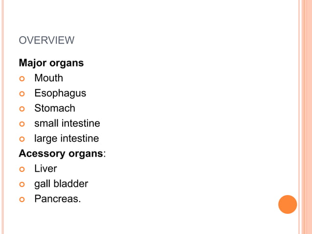 Human digestive system | PPT