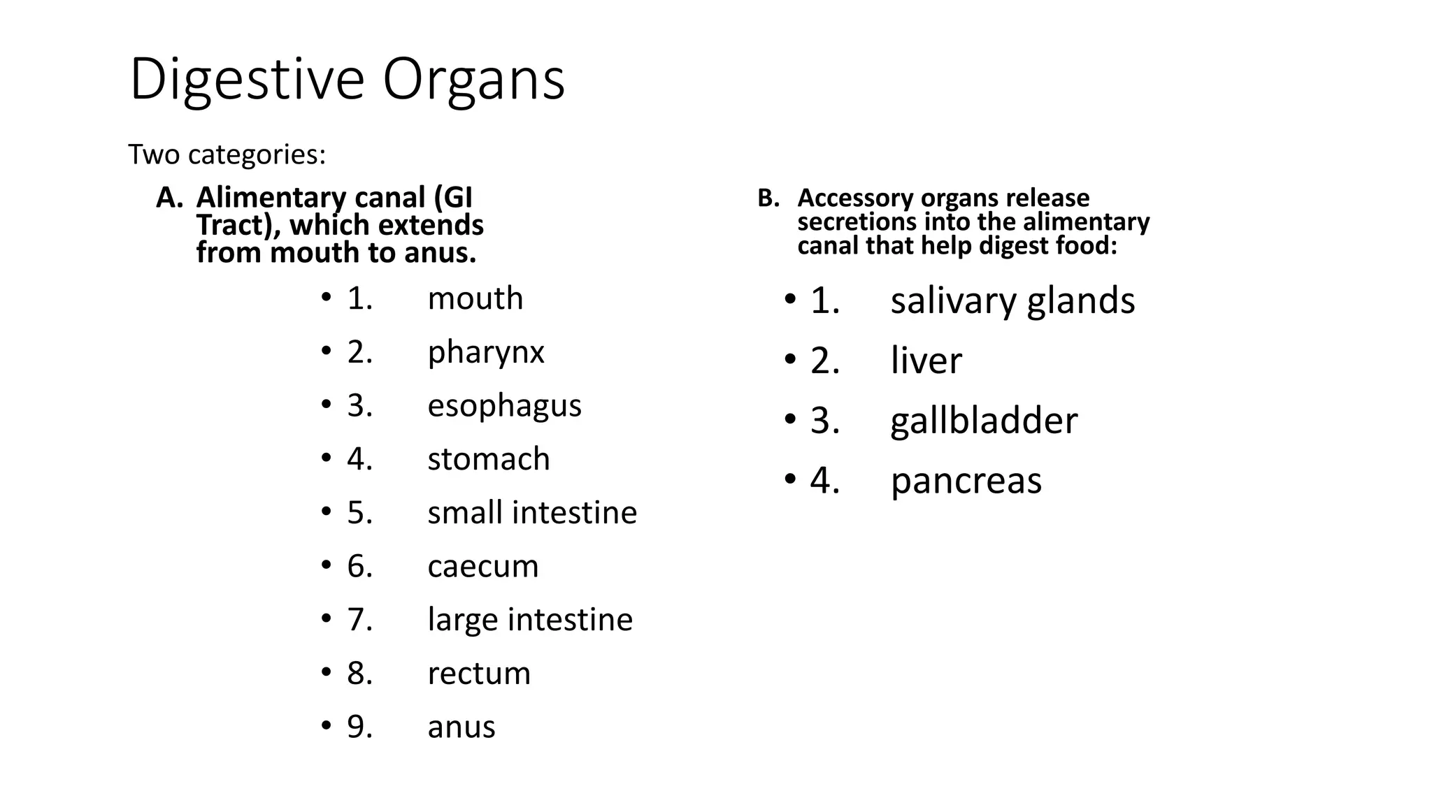 Human Digestive System | PPTX