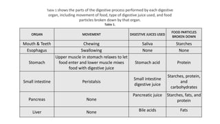Human Digestive System | PPTX